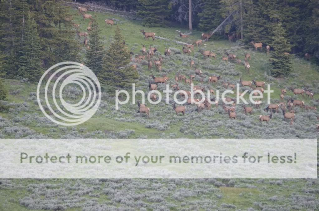 Feel like a picture thread? - 24hourcampfire