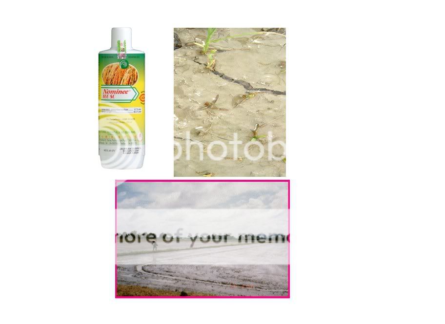 Kaedah Pengawalan Rumpai – Kawalan Lewat Lepas Cambah | ::: Pengurusan ...